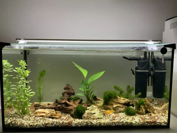 Akvárium 54l