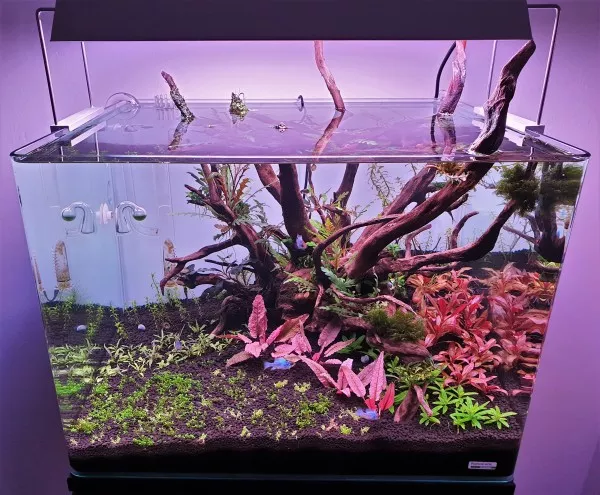 Scaper's Tank