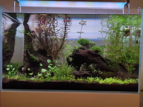 Aqua Style Optiwhite-60P