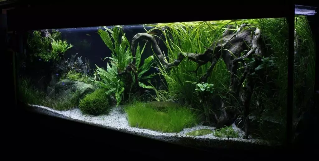 RYBICKY.NET - Fotogalerie